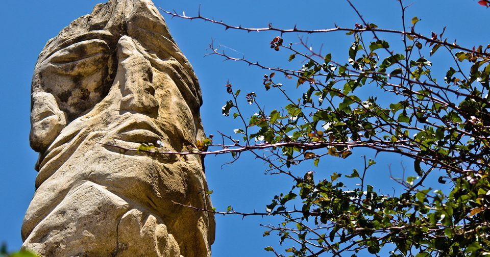 Il Parco Jalari ti immerge tra i suoi infiniti viali e ti fa scoprire ...