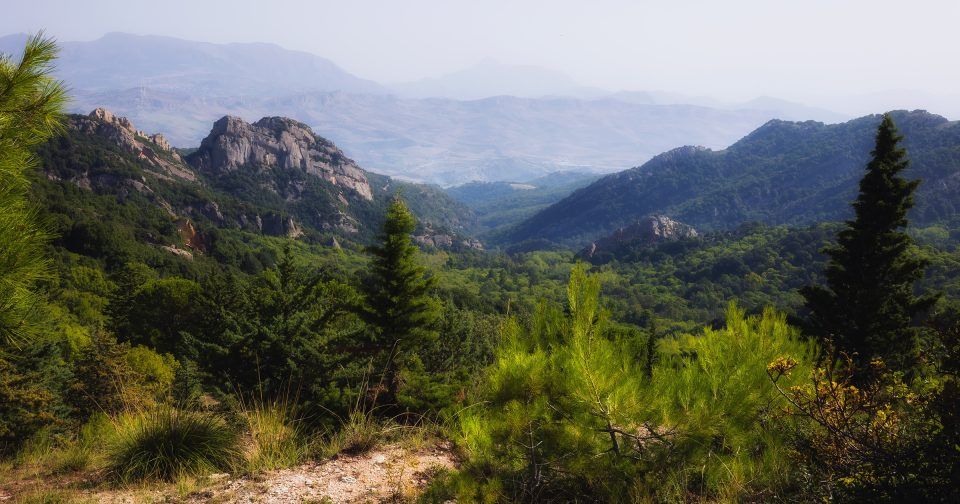 Il Bosco della Ficuzza e del Cappelliere, il Gorgo del Drago, la Rocca ...