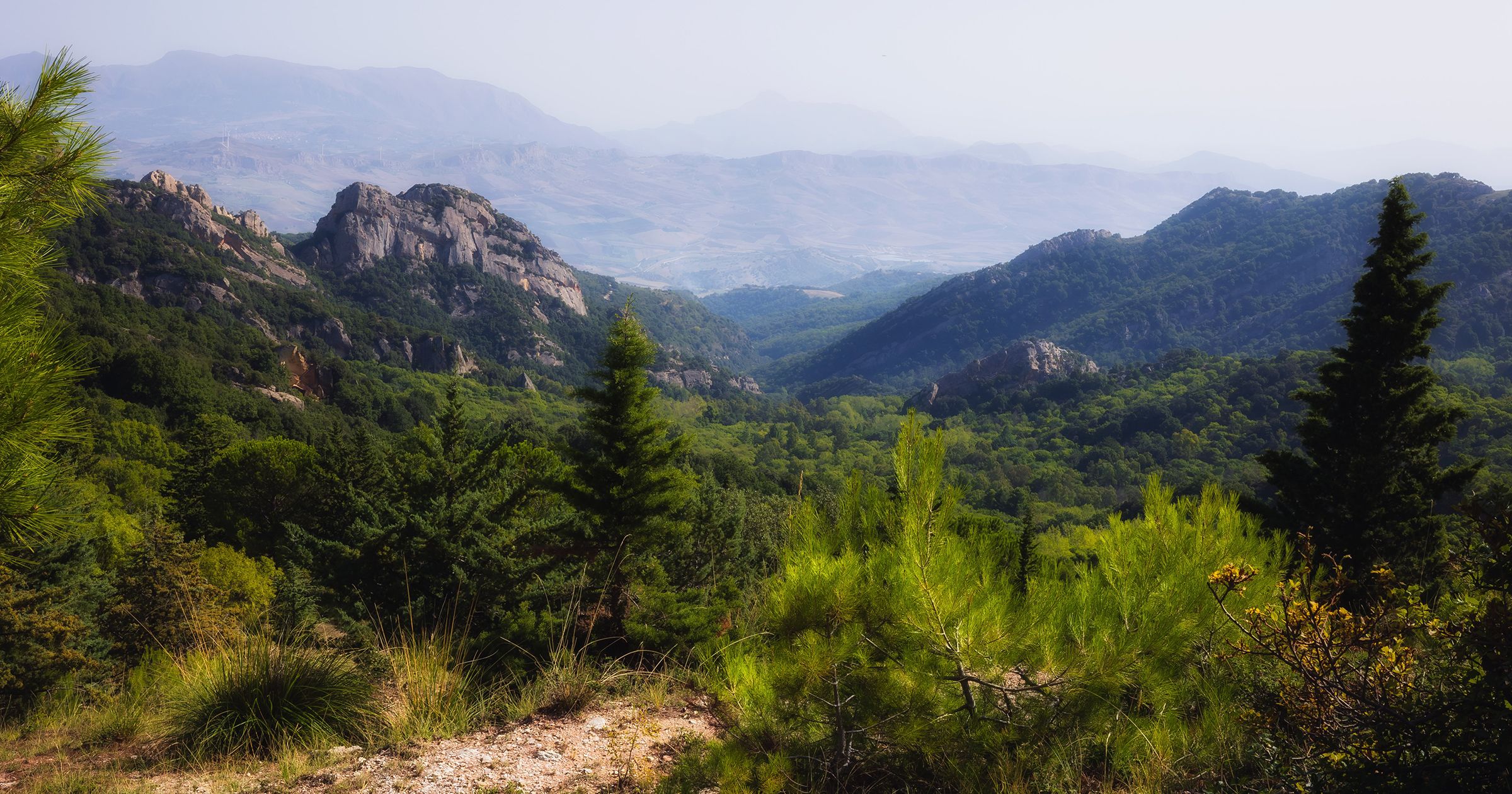 Il Bosco della Ficuzza e del Cappelliere, il Gorgo del Drago, la Rocca ...
