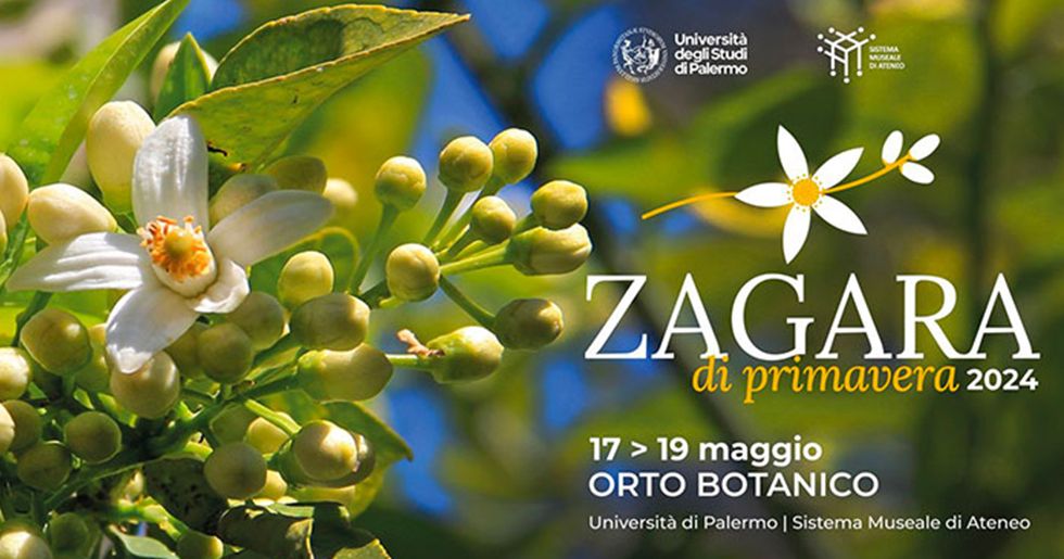 Dal 17 al 19 maggio 2024, all'Orto Botanico di Palermo, torna Zagara di ...